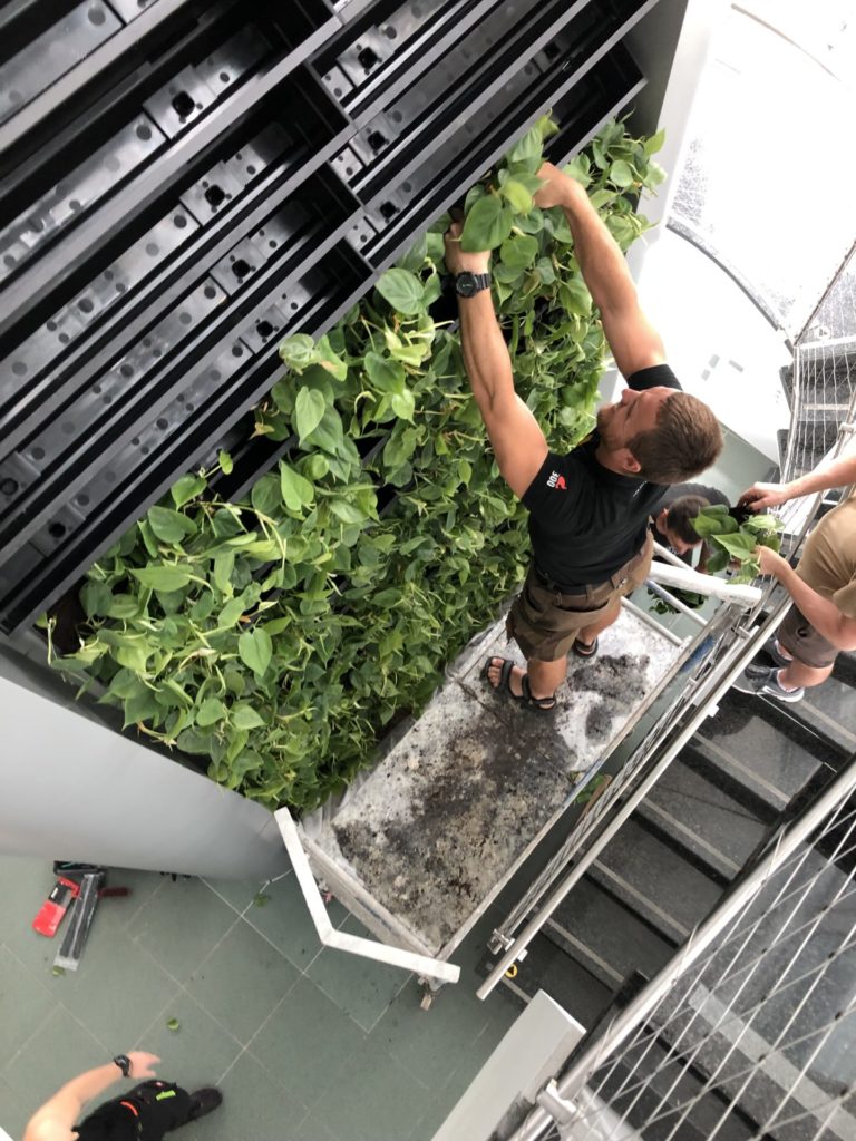 Flora Panel - Flora Urbanica